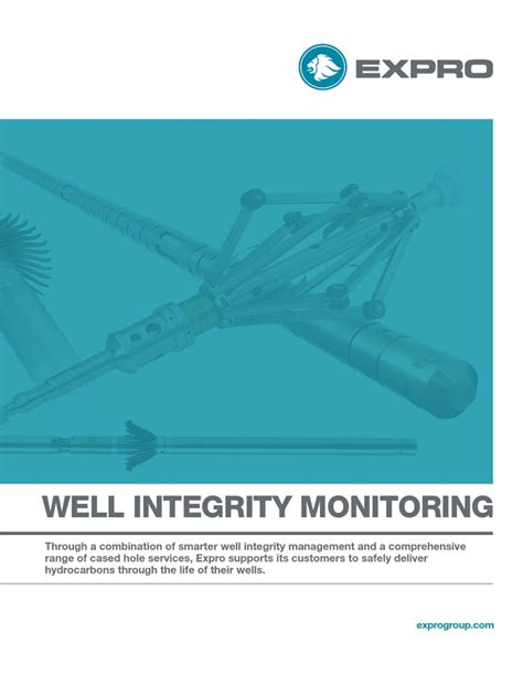 Well Integrity Monitoring Pdf Casing Borehole Flow Measurement