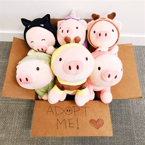 Miniso Cerditos De Peluche Animales De Peluche Gigantes Ositos De