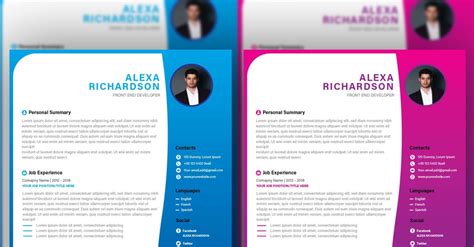 Professional Front End Developer Resume Resume Design