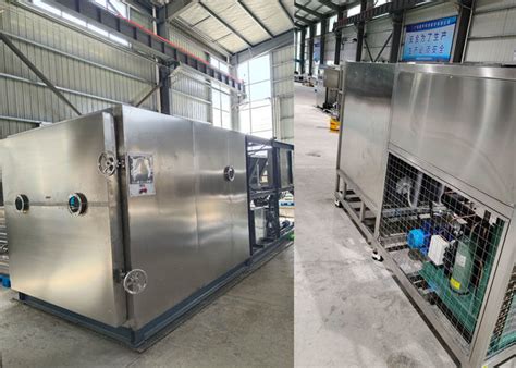 50kg 100kg Industrial Lyophilizer Freeze Dryer Equipment Machine