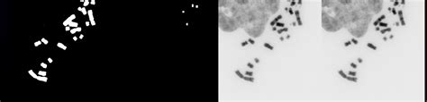 Trying To Read Image With Classes Issue Jakeret Tf Unet GitHub