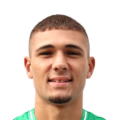 Ea Fc 25 Ultimate Team Prices Database Draft Simulator And Squad