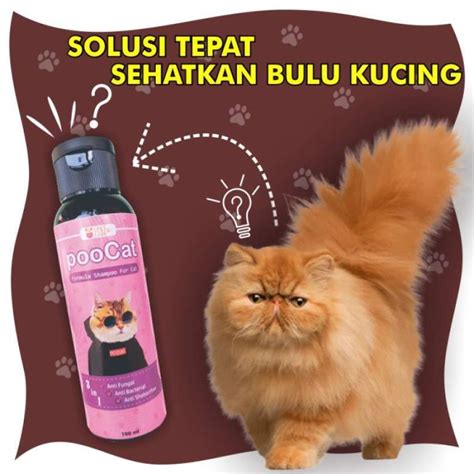 Jual SHAMPO KUCING ANTI RONTOK SHAMPO KUCING ANTI KUTU DAN JAMUR PooCat Di Seller DENTA PET