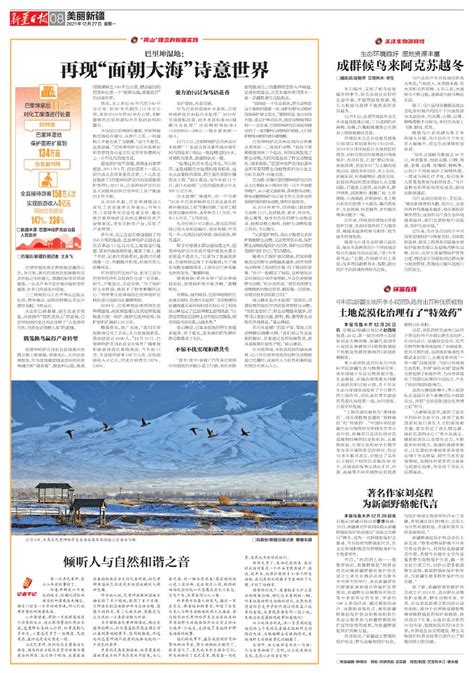土地荒漠化治理有了“特效药” A08美丽新疆 2021 12 27 新疆日报