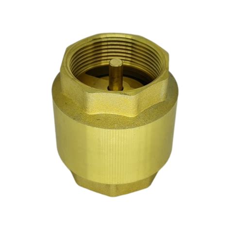 Válvula de Retenção Vertical Metal de 3 Polegada