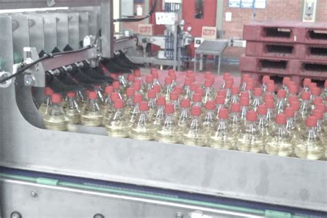 Automatic Cartoning And Palletizing Plant For Glass Bottles Tmg Impianti