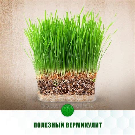 Vermiculite Chemical Structure