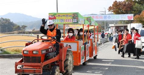 잘 익은 수동사과 맛보고 소중한 추억도 만들어 가세요~”