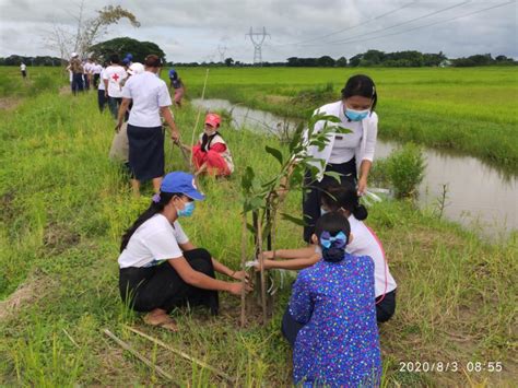 သုံးခွမြို့နယ်တွင် ဘိုးဘွားရိပ်သာတည်ဆောက်မည့် မြေနေရာတွင် အရိပ်ရသစ်ပင်မ