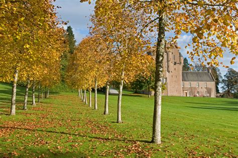 Industry Insights National Trust For Scotland The Marketing Society