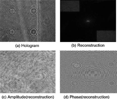 A Recorded Phase Hologram Of The A Lens B Fourier Reconstruction Download Scientific