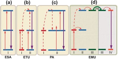 Schemes Of Typical Upconversion Processes A Excited State Absorption