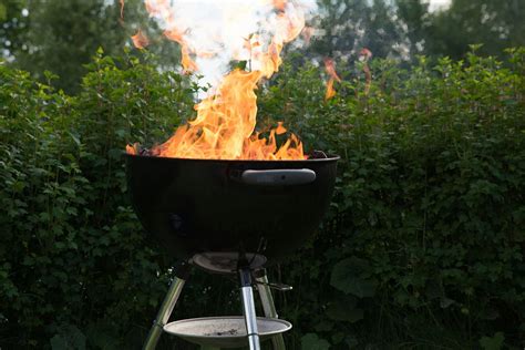 The Best Grill Brands In 2022 Saveur