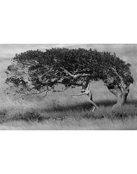 Marco Glaviano Ashley Richardson St Barth 1984