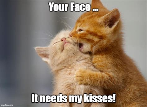Your Face Needs My Kisses Imgflip