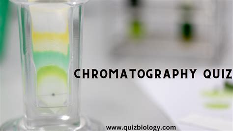 Chromatography Quiz Techniques Quiz Separation Techniques Quiz