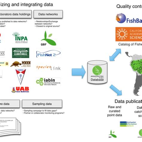 Schematic Overview Of Different Data Sources Quality Control Download Scientific Diagram