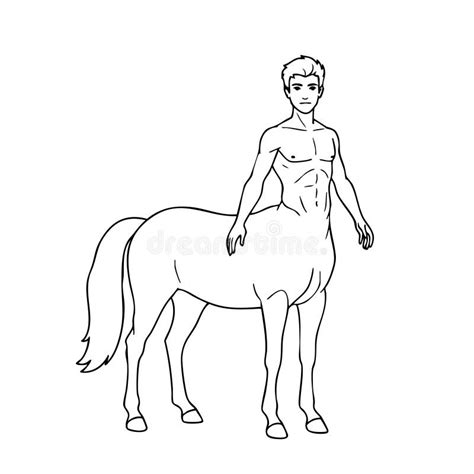 Clean Outline Drawing Of A Gentle Centaur Stock Vector Illustration Of Gentle Plain 399842617