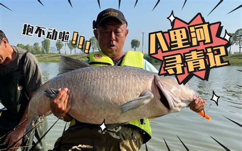 游钓中国9第03集 故地重钓八里河 游钓中国官方频道 游钓中国官方频道 哔哩哔哩视频