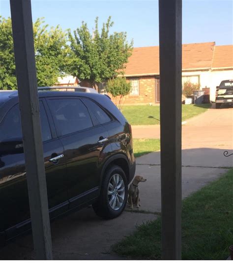 Tiffiny Opperman Tiffspace • Instagram Photos And Videos