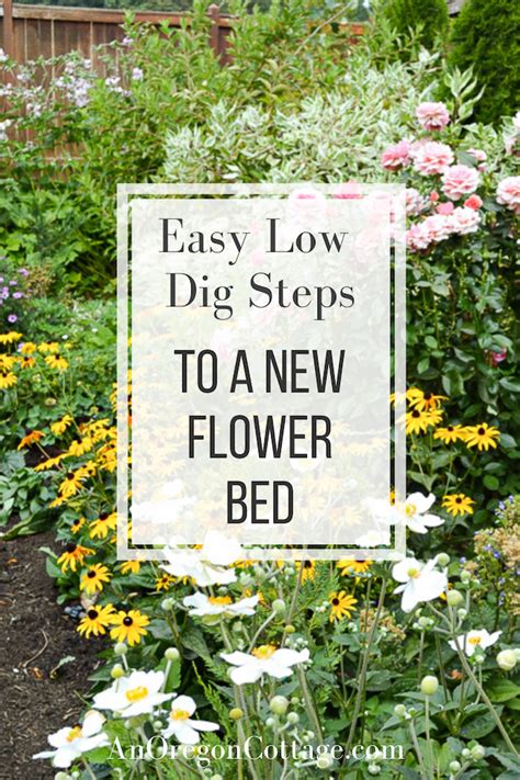 8 Easy Steps To A New Shrub And Flower Bed
