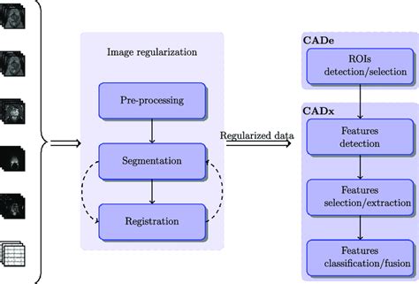 Common Cad Framework Based On Mri Images Used To Detect Cap Download
