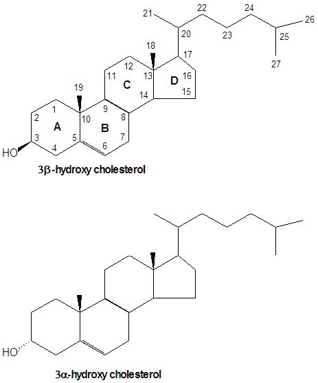 Cholesterol Structure With Numbering