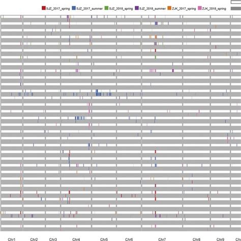 summary of snp gwas and gene pav gwas results download scientific