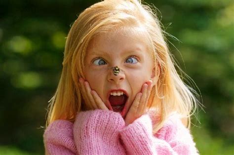 Укусы животных 10th 11th Grade Quiz Wayground Formerly Quizizz