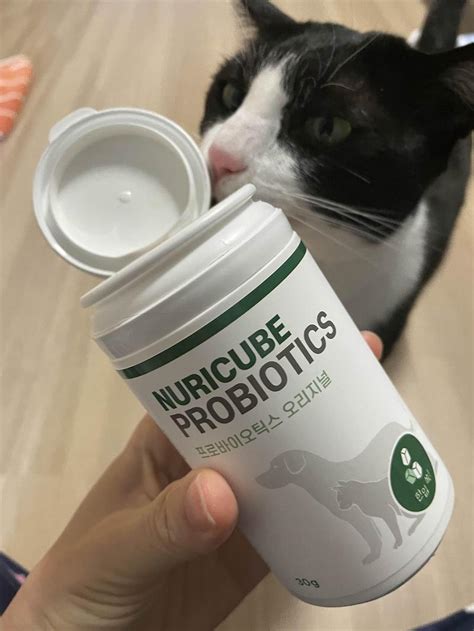 오복누리 고양이 트릿 간식 유산균 누리큐브 프로바이오틱스 오리지널 본업 냥집사🐱 을지로 직장인