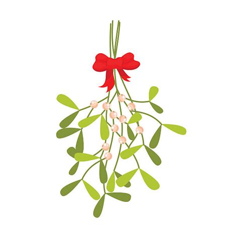 Royalty Free Mistletoe Clip Art Vector Images And Illustrations Istock