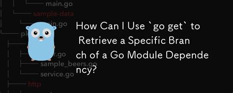 如何使用 Go Get 檢索 Go 模組相依性的特定分支？ Golang Php中文網