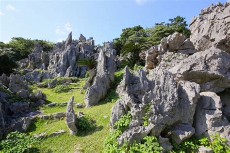 世界最北端の熱帯カルスト地形 国立公園 風景 カルスト