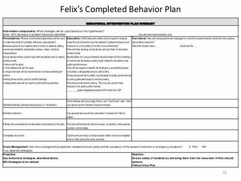20 Behavior Support Plan Template
