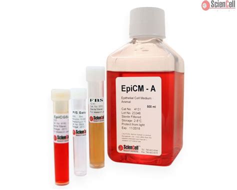 Epithelial Cell Medium Animal