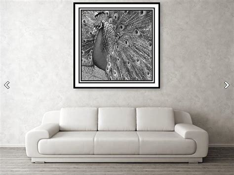 Peacock Square 1 As Decor Photograph By Yuri Tomashevi Pixels