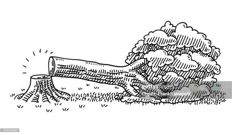 Broken Tree Environmental Damage Drawing High Res Vector Graphic