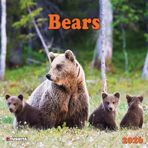 Bears In Canada