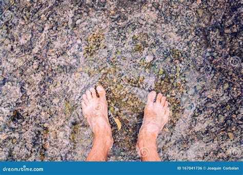 Man Looks At His Feet Submerged In The Water Of A River On The Pebbles