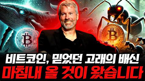 경고 비트코인 방심하지마세요 이제부터가 진짜입니다 Youtube