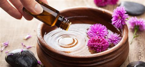 Quelques Tips Avec Les Huiles Essentielles Leovida Le Blog