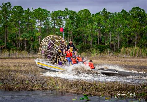 About Everglade Python Hunting