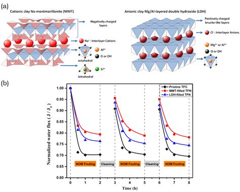 A Different Structures Of The Cationic Clay Montmorillonite Mmt