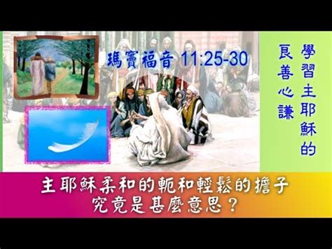 A202 日用天糧 瑪竇福音 1125 30 天父將天國的奧秘啟示給小孩子 甲年 耶穌聖心節 彌撒讀經分享 一日一章 聖經