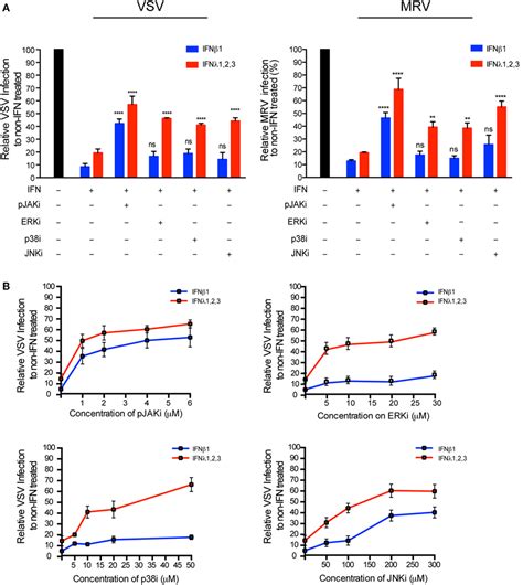 Frontiers Type I And Type Iii Interferons Display Different