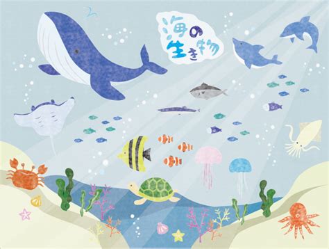 【商用利用可】海の生き物のイラスト15選！深海魚や熱帯魚から水族館のお魚も ピョンタックのイラストや写真で副業する方法