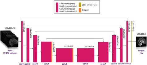 Network Architecture Used Conv Convolution Download Scientific Diagram