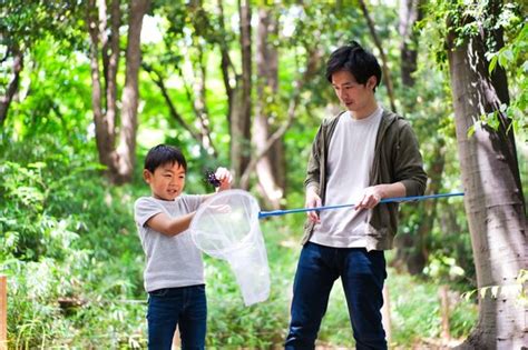 虫取り網の画像 12 354 件の Stock 写真ベクターおよびビデオ Adobe Stock