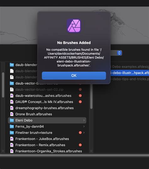 Affinity Photo V2 Crashed When Duplicating A Brush For Editing No