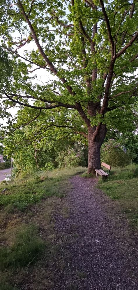 Hövdingen Hannes on Twitter JoakimDenAndra Här är min https t co